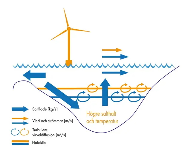 SMHIs forskare har undersökt hur vindkraftsparker till havs kan påverka ...